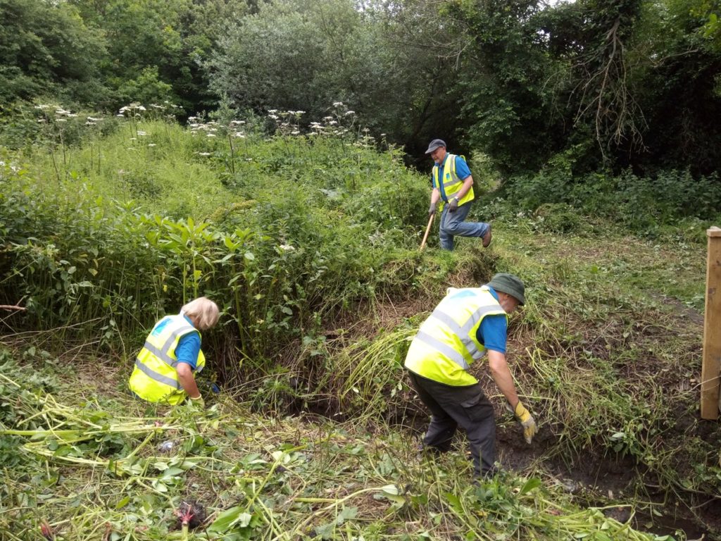 Himalayan Balsam Bashing- River Rom – Land Of The Fanns