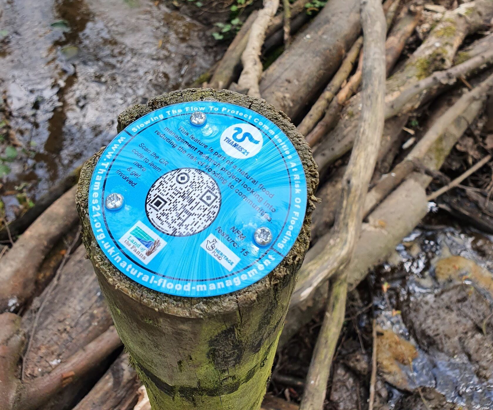 Heavy horse helps deliver natural flood management scheme at Bedfords ... Heavy horse helps deliver natural flood management scheme at Bedfords ...